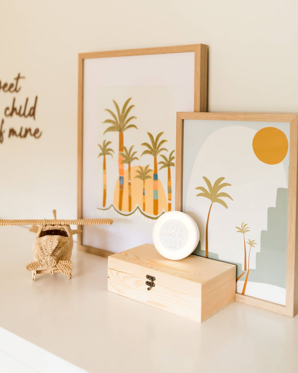 Archie the Aeroplane – Raja Homewares